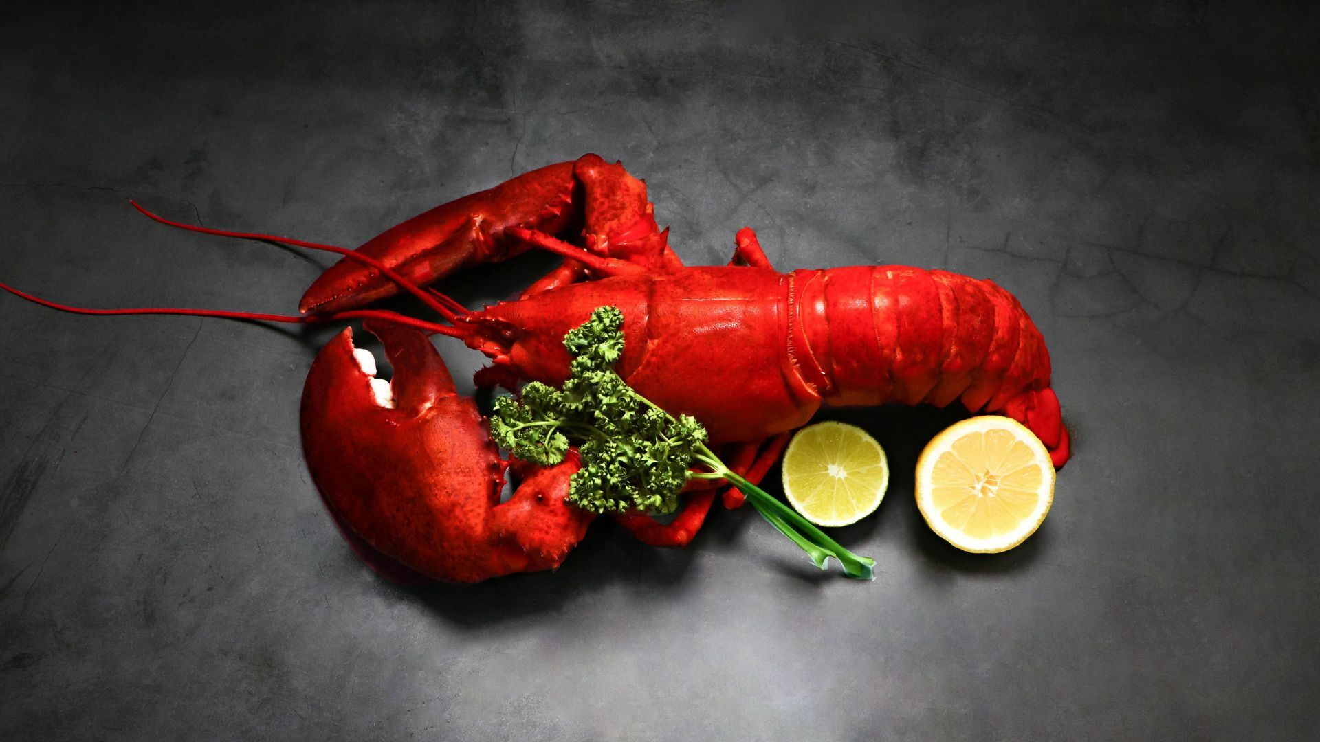 Red Lobster ร้านอาหารทะเล เตรียมมาเปิดในไทยสาขาแรก 12 ก.ย. นี้ ...
