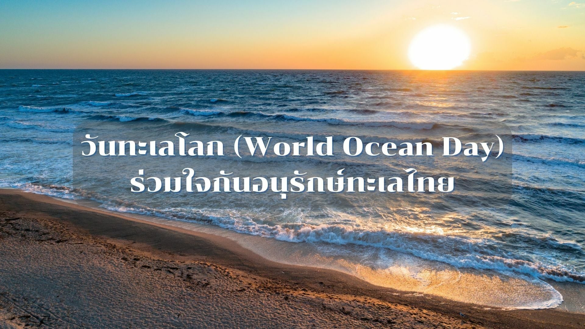 รู้จัก วันทะเลโลก (World Ocean Day) 27 กันยายน 2565 ร่วมใจกันอนุรักษ์ ...