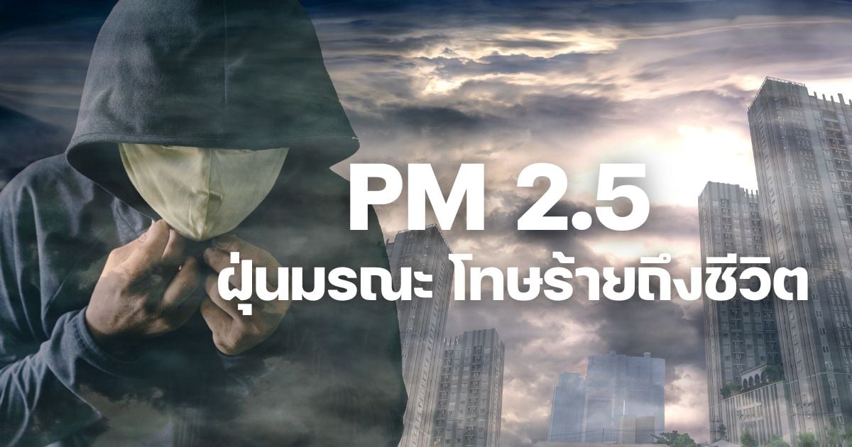 สูดฝุ่น 'PM 2.5' ตายผ่อนส่ง พาสารก่อมะเร็งเข้าปอด อันตรายที่ร่างกายจับ ...