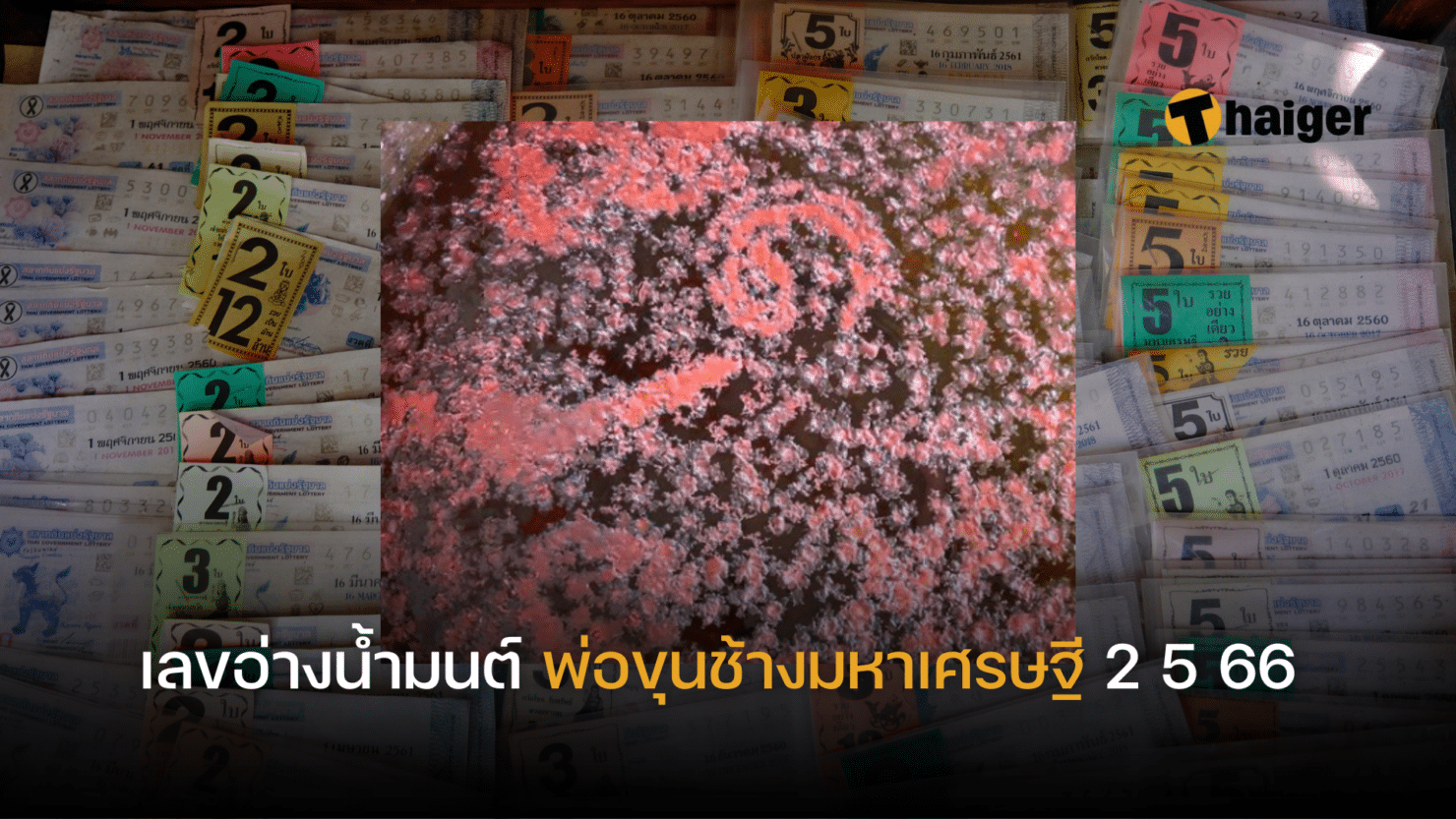 เลขอ่างน้ำมนต์ พ่อขุนช้างมหาเศรษฐี วัดไผ่แขก 2 5 66 โชคโค้งสุดท้าย | Thaiger ข่าวไทย