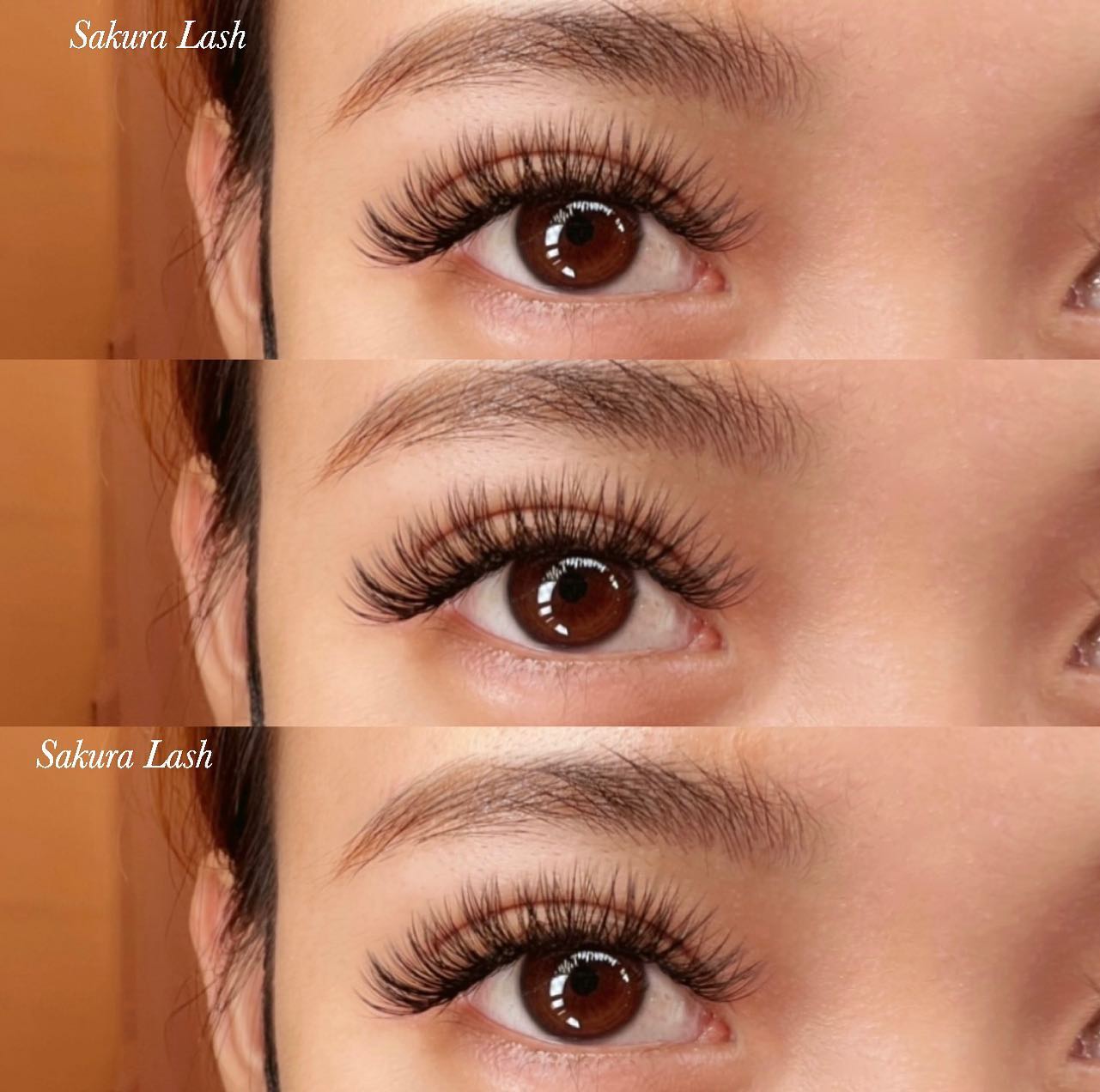 10 ร้านต่อขนตา ย่านลาดพร้าว ฝีมือระดับเทพ ขนตางอนเด้ง ไม่ง้อมาสคาร่า ...