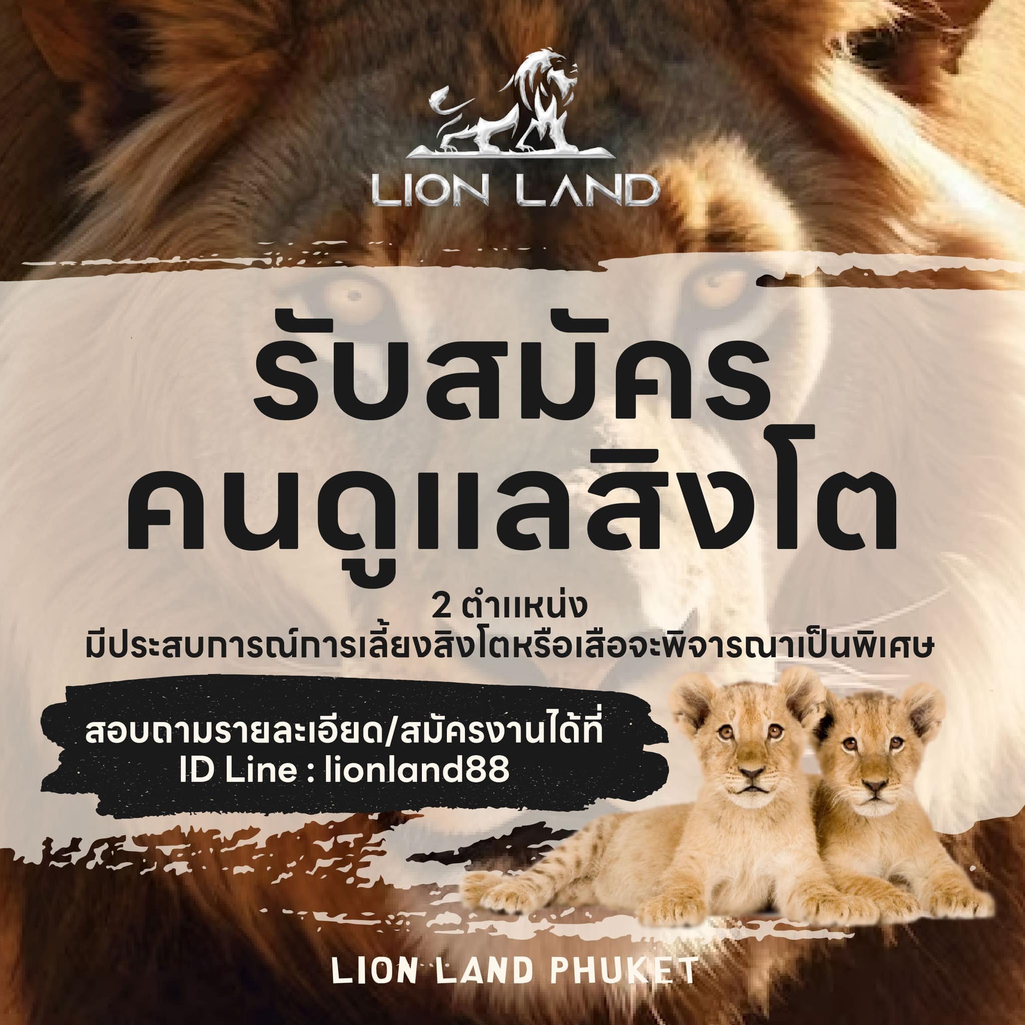 สวนสัตว์ดังในภูเก็ต ประกาศรับสมัครคนดูแลสิงโต ชาวเน็ตแซวติดตลก คนเก่า ...