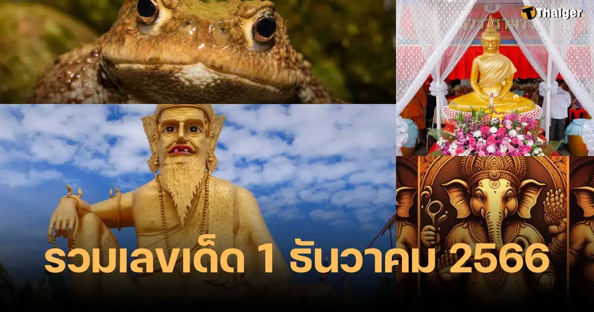 รวมเลขเด็ด 1 12 66 ทุกสำนัก เลขทะเบียนรถนายก หวยทุกสำนัก หวยสัญจรโคราช ...