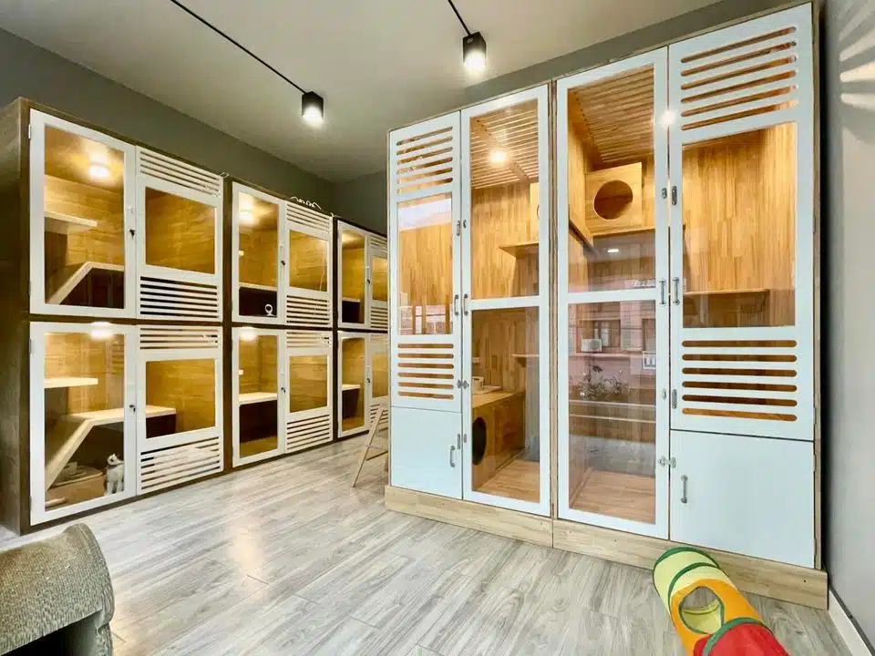 แนะนำ โรงแรมฝากเลี้ยงแมว ในกรุงเทพฯ ใกล้ที่ไหนไปที่นั่น ราคาดีถูกใจทาส ...