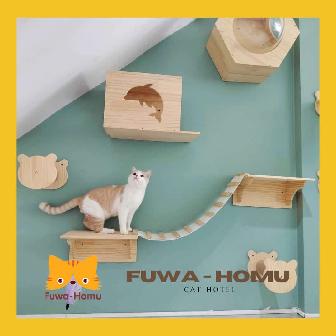 แนะนำ โรงแรมฝากเลี้ยงแมว ในกรุงเทพฯ ใกล้ที่ไหนไปที่นั่น ราคาดีถูกใจทาส ...