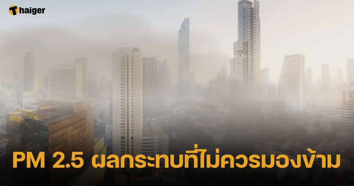 The Negative Effects of PM 2.5 Dust on Health and How to Protect ...