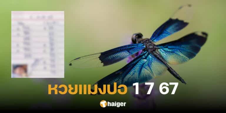เลขเด็ด 'หวยแมงปอ' บินมาแจกโชค งวด 1 ก.ค. 67 มาแรงสุดต้อง 2 - 9 | Thaiger ข่าวไทย