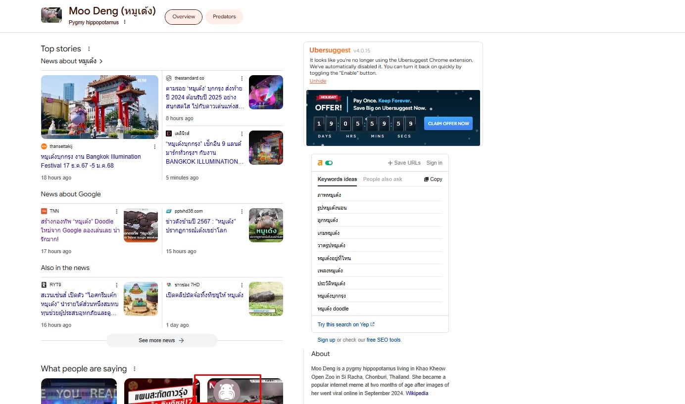 หมูเด้ง บุก Google Doodle ฮิปโปแคระไทย ต้าวก้อน ดังไกลทั่วโลก | Thaiger ...