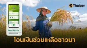 ตรวจสอบสิทธิเกษตร เงินช่วยชาวนา ไร่ละ 1000 บาท ผ่านเว็บไซต์ efarmer.doae.go.th | Thaiger ข่าวไทย