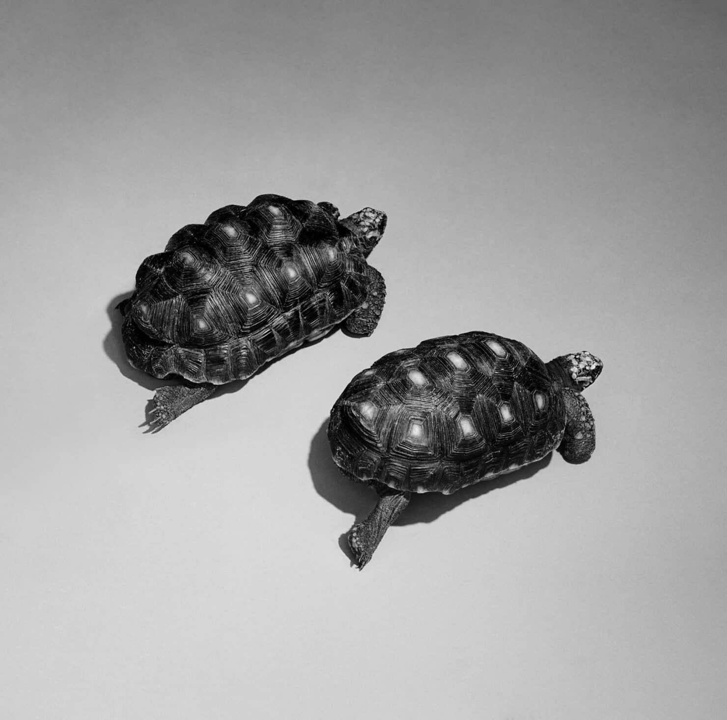 Sam Smith คัมแบ็คในรอบ 2 ปี กับเพลงรักหวานซึ้ง Love Is A Stillness ของขวัญเดือนแห่งความรักให้แฟน ...