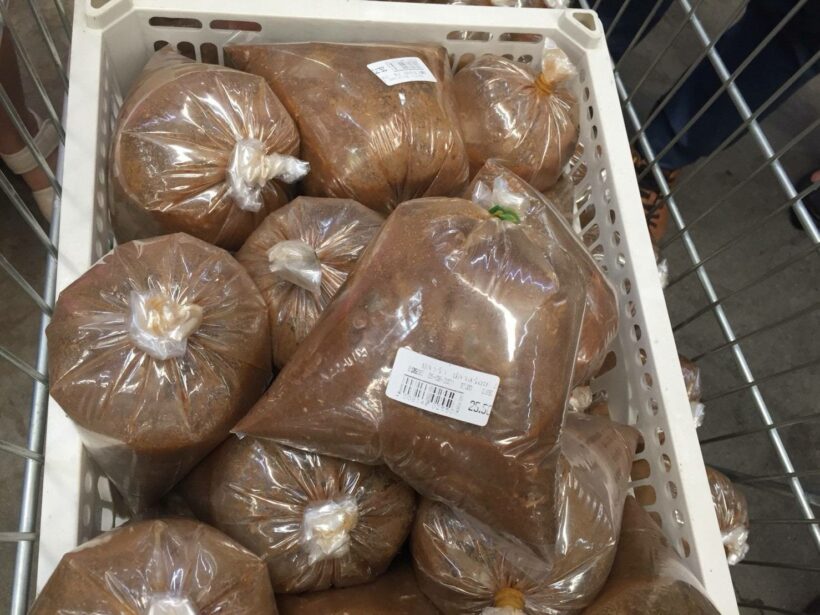 A rat found in a bag of fermented fish | Thaiger