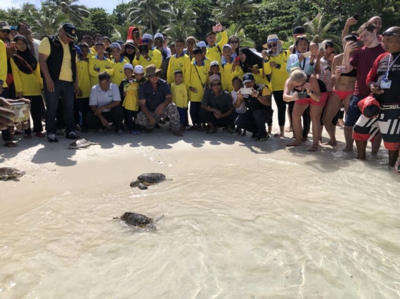 Boon Rawd - the reluctant sea turtle | Thaiger