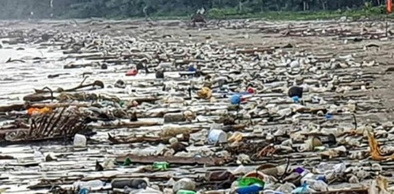 Leading environmentalist slams Thailand's record on pollution | Thaiger