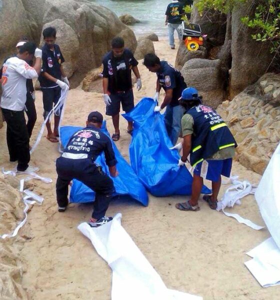 Samui News Articles, Breaking Stories & Headlines | The Thaiger