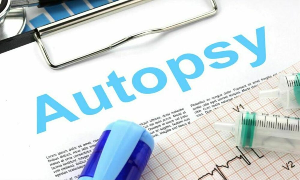 How has Thailand avoided the worst of Covid-19? - VIDEO | Thaiger