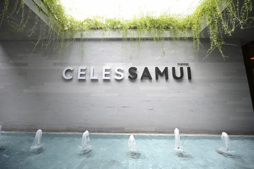 Indulging in Meaningful Wellness experiences in Koh Samui | Thaiger