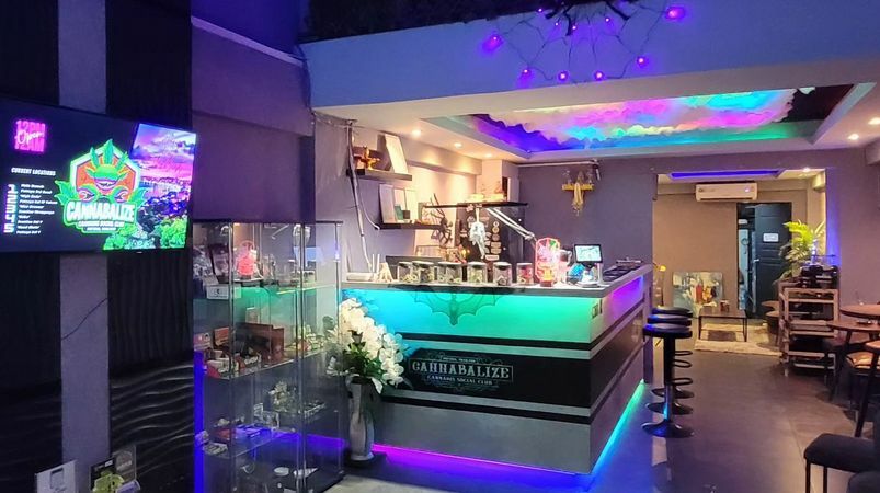 Cannabalize | Thaiger