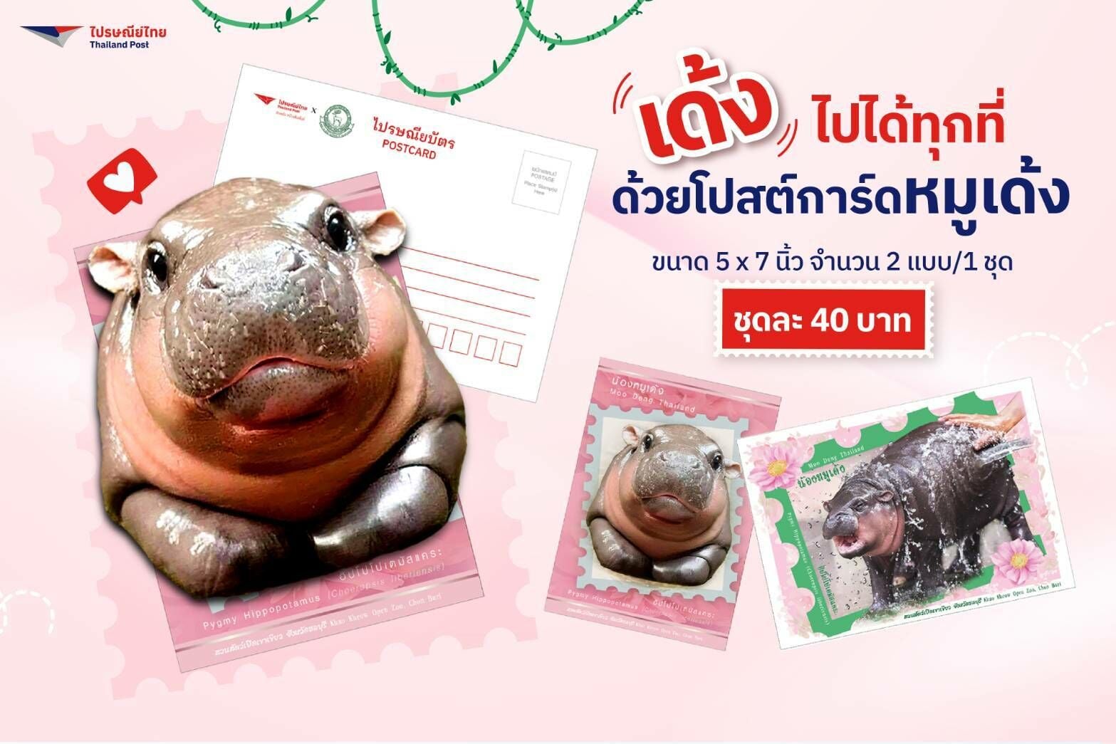 Thailand Post unveils ‘Moo Deng’ iStamp & postcard collection | Thaiger