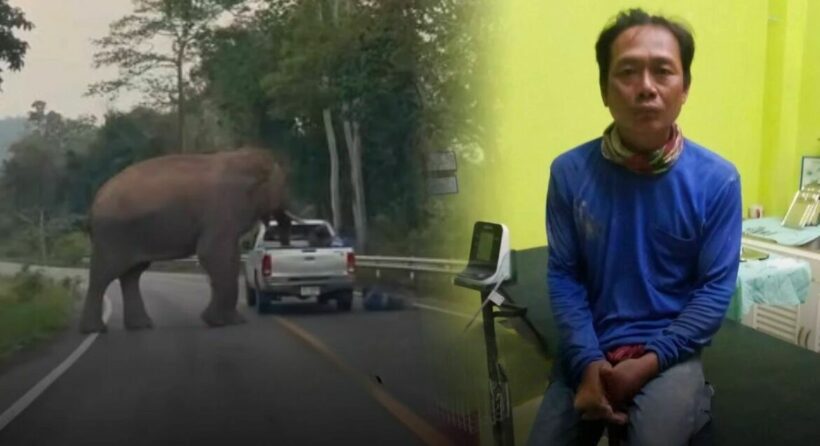Trunk road terror: Jumbo rage as elephant ejects man from pickup (video) | Thaiger